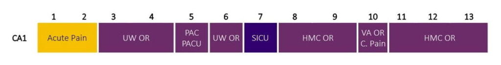 Program Structure & Rotations - UW Anesthesiology & Pain Medicine